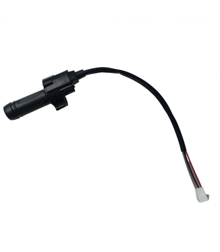 Poignée Accélérateur pour Quad Rage 12V | Injusa